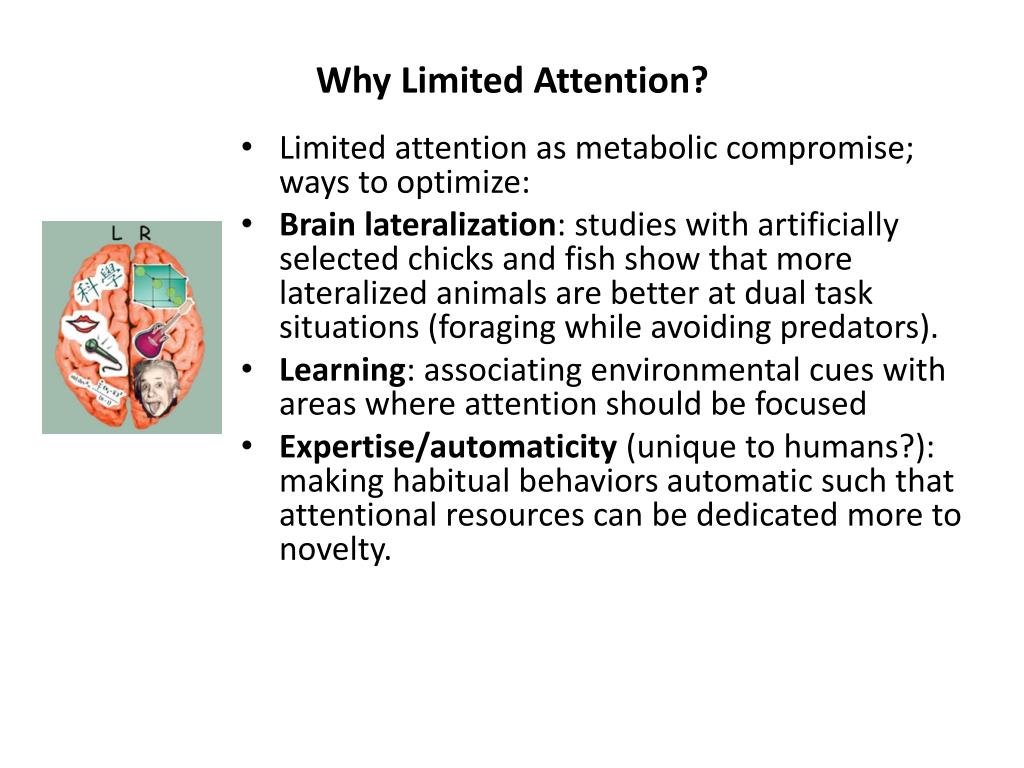 PPT - Understanding the Evolutionary Biology of Limited Attention in ...