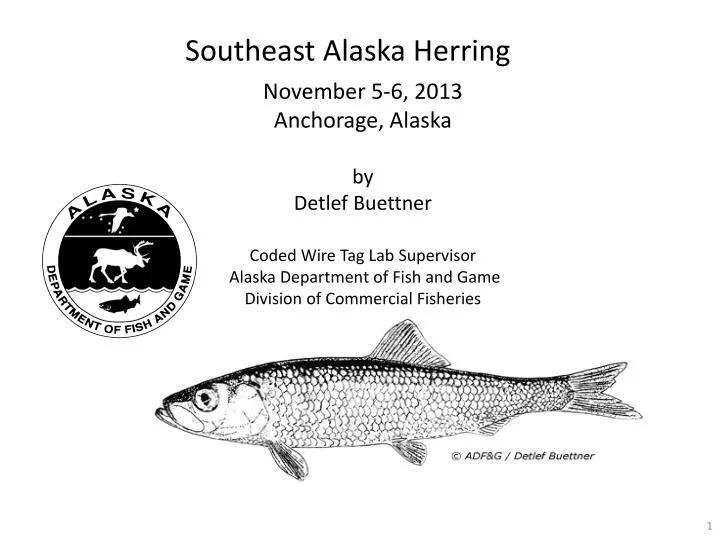 PPT - Southeast Alaska Herring PowerPoint Presentation, free download ...