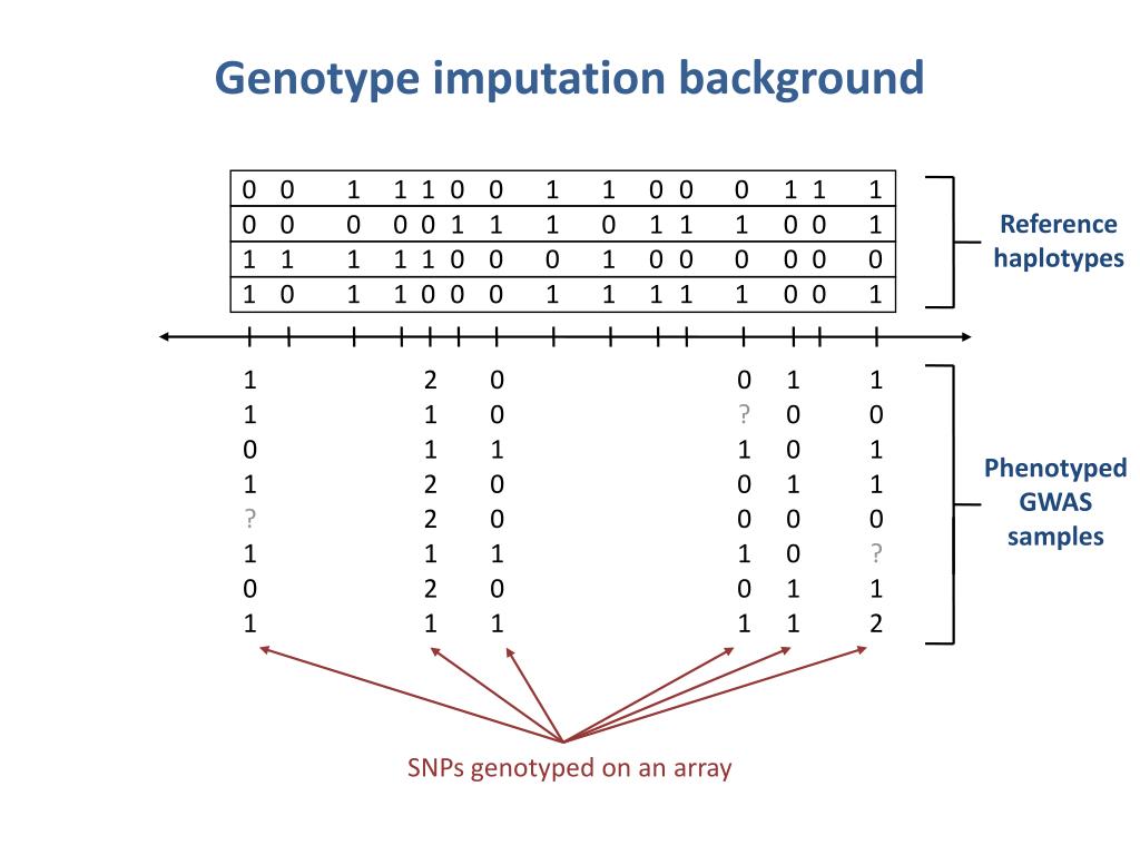 PPT - Genotype imputation background PowerPoint Presentation, free ... PPT - Genotype imputation background PowerPoint Presentation, free ...