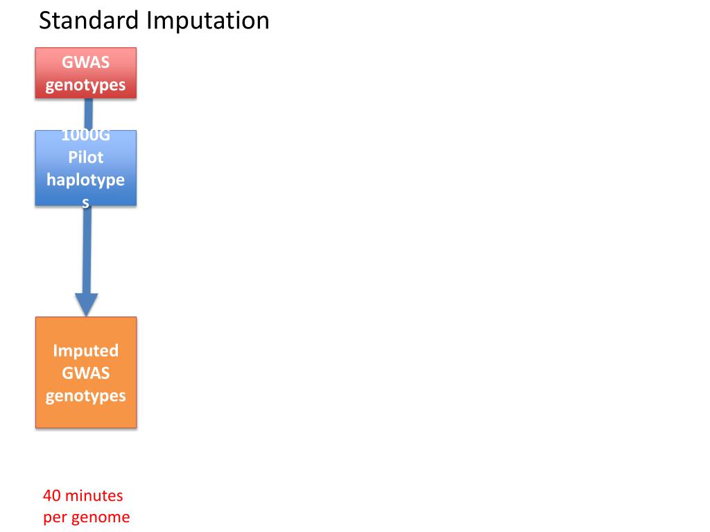 PPT - Genotype imputation background PowerPoint Presentation, free ... PPT - Genotype imputation background PowerPoint Presentation, free ...