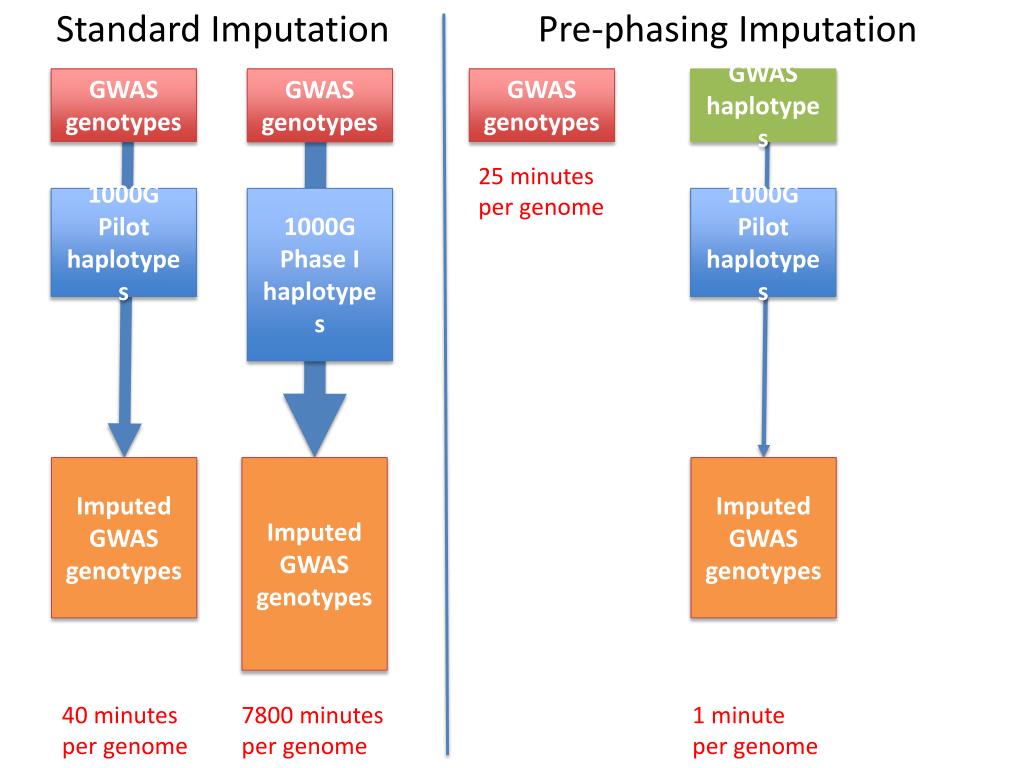 PPT - Genotype imputation background PowerPoint Presentation, free ... PPT - Genotype imputation background PowerPoint Presentation, free ...