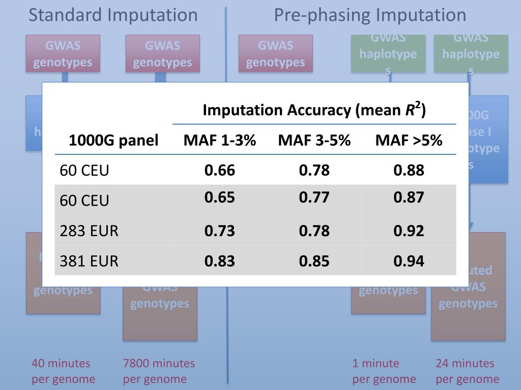 PPT - Genotype imputation background PowerPoint Presentation, free ... PPT - Genotype imputation background PowerPoint Presentation, free ...