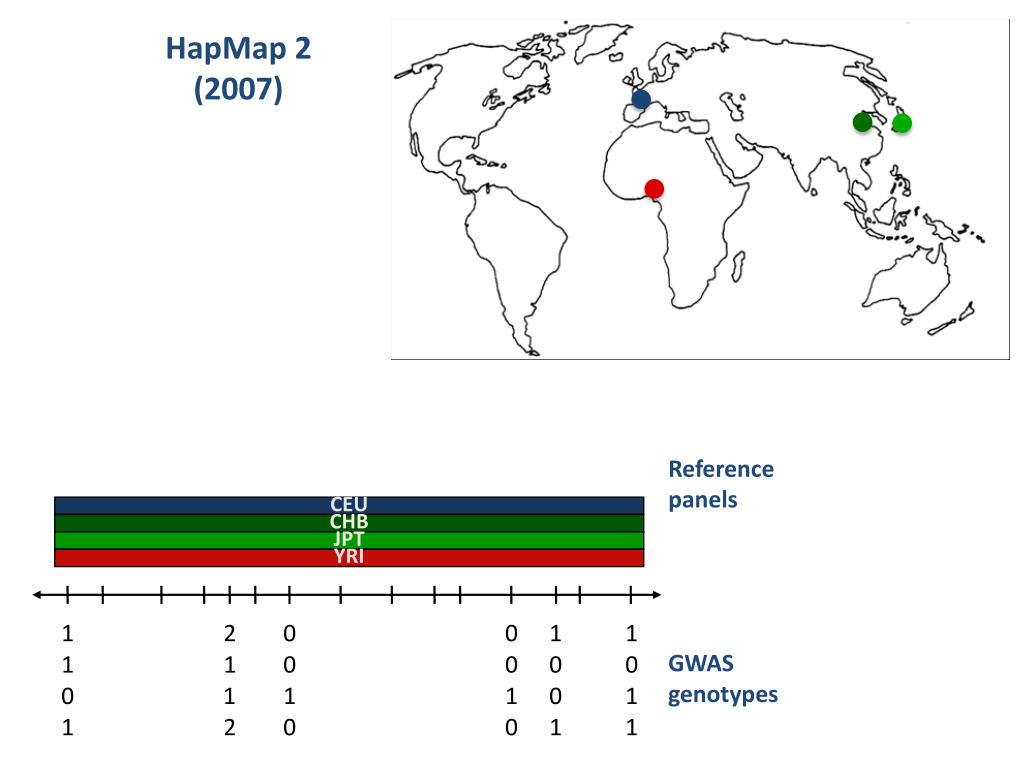 PPT - Genotype imputation background PowerPoint Presentation, free ... PPT - Genotype imputation background PowerPoint Presentation, free ...