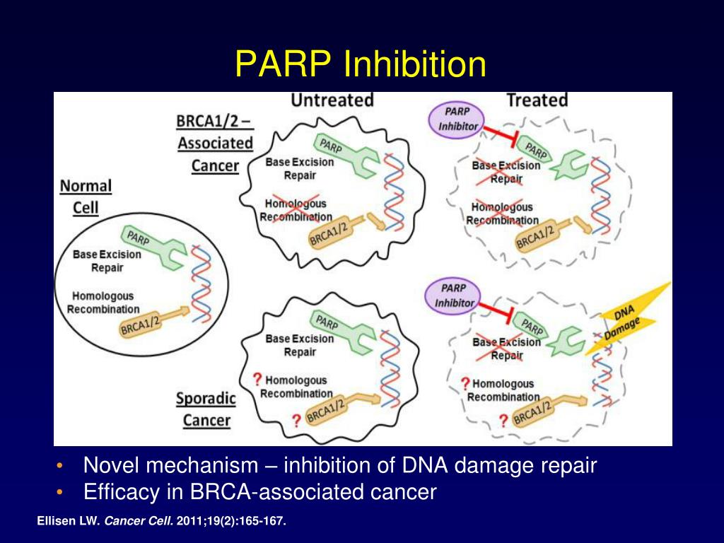 PPT - Challenges and Success: Treatment of Metastatic Breast Cancer ...
