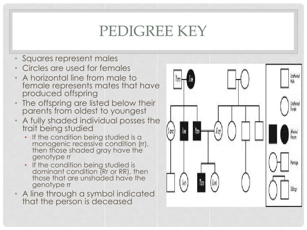 PPT - Sex determination and sex linkage PowerPoint Presentation, free ...