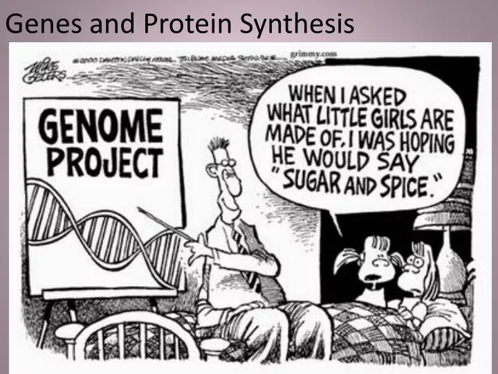 Protein Synthesis Comic Strip