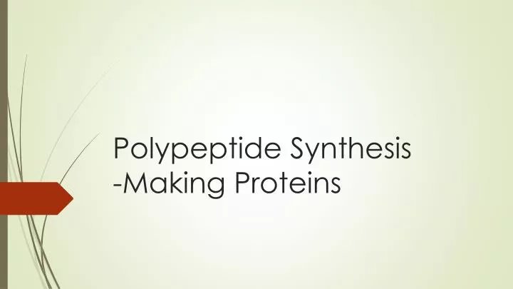 PPT - Polypeptide Synthesis -Making Proteins PowerPoint Presentation ...