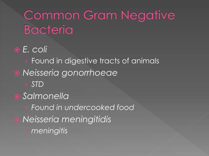 PPT - Gram Staining PowerPoint Presentation - ID:2381074