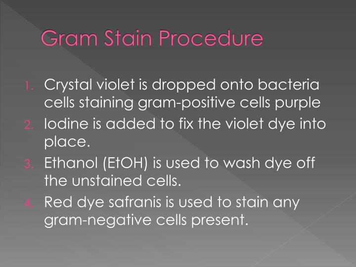 PPT - Gram Staining PowerPoint Presentation - ID:2381074
