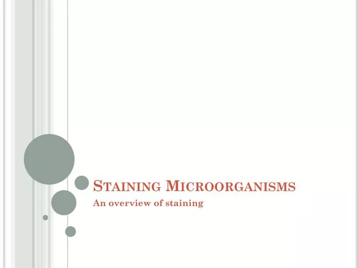 PPT - Staining Microorganisms PowerPoint Presentation, free download ...