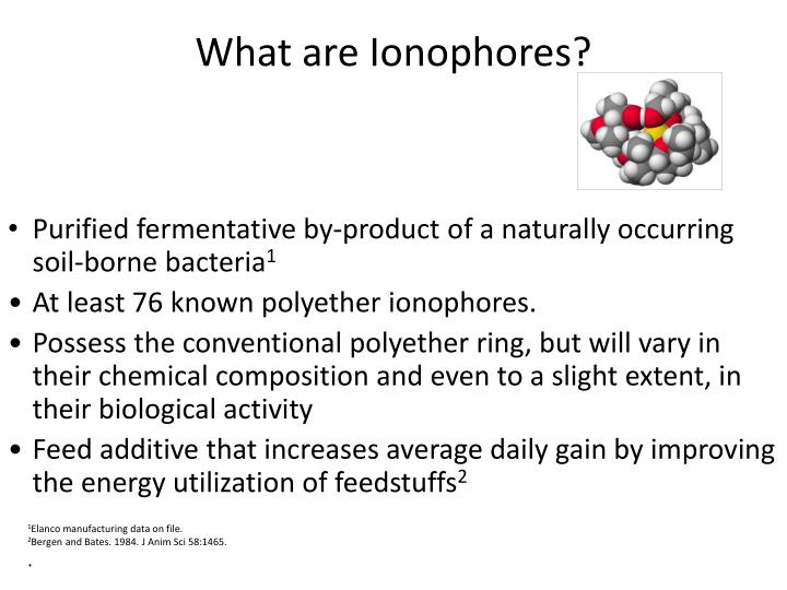 PPT - Understanding Ionophores for Ruminants PowerPoint Presentation ...