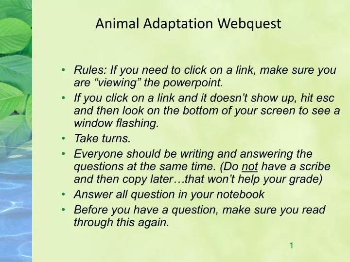 PPT - Animal Adaptation Webquest PowerPoint Presentation, free download ...