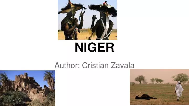 PPT - NIGER PowerPoint Presentation, free download - ID:2381313