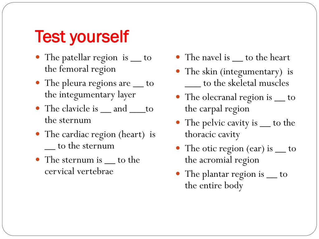 PPT - Human Anatomy And Physiology I PowerPoint Presentation, free ...