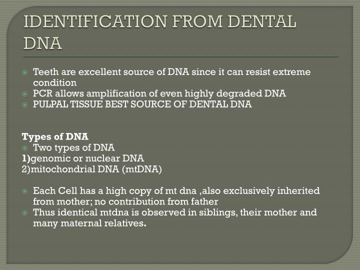 PPT - FORENSIC ODONTOLOGY - An Overview PowerPoint Presentation - ID ...