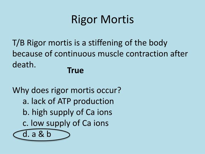 PPT - Learning Target: Compare skeletal, smooth and cardiac muscle ...