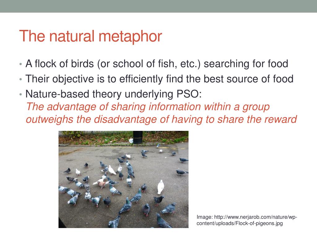 PPT - Particle swarm optimisation (PSO) PowerPoint Presentation, free ... PPT - Particle swarm optimisation (PSO) PowerPoint Presentation, free ...