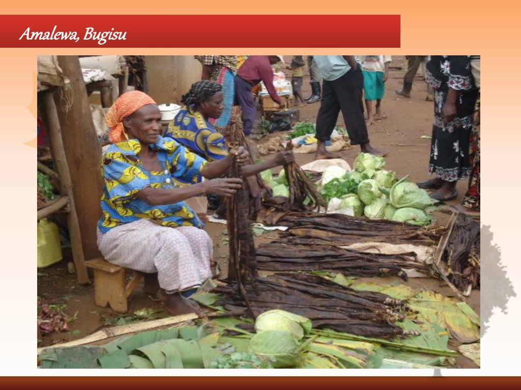 PPT - A glimpse of Uganda's diverse heritage PowerPoint Presentation ...