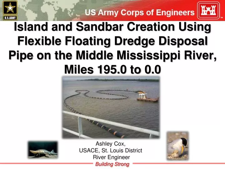 PPT - Ashley Cox, USACE, St. Louis District River Engineer PowerPoint ...