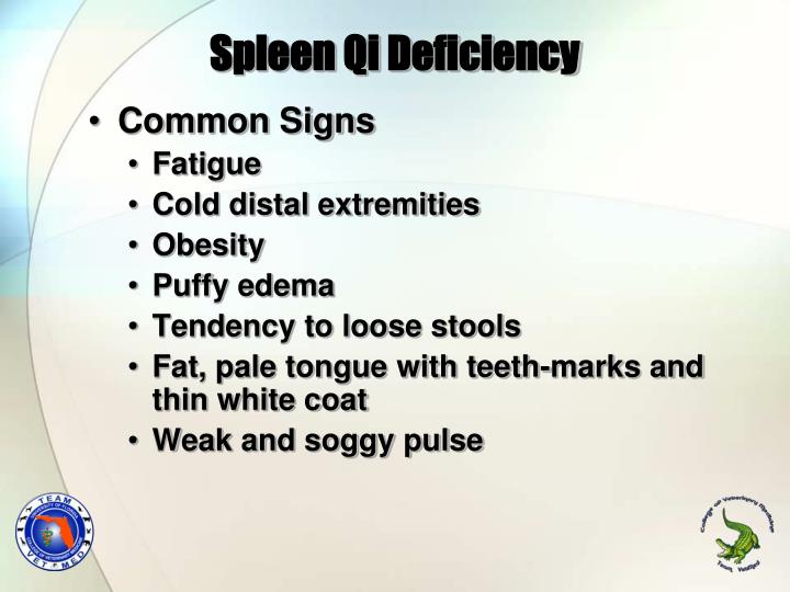 PPT - How to Support Endocrine Disorders with TCVM Food Therapy ...