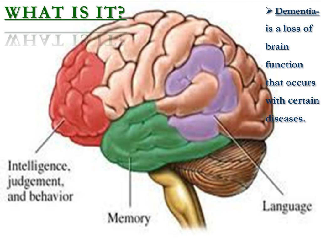 PPT DEMENTIA PowerPoint Presentation Free Download ID 2383292 PPT DEMENTIA PowerPoint Presentation Free Download ID 2383292