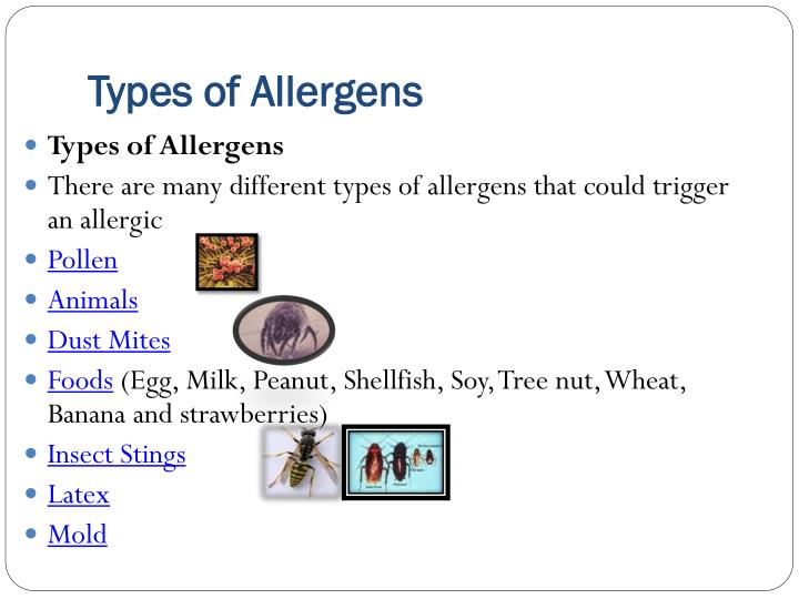 PPT - Allergens PowerPoint Presentation - ID:2383430
