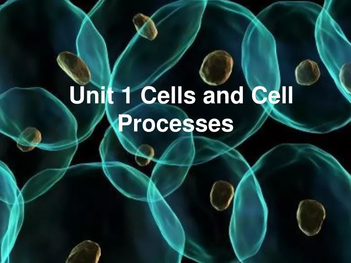 PPT - Unit 1 Cells and Cell Processes PowerPoint Presentation, free ...