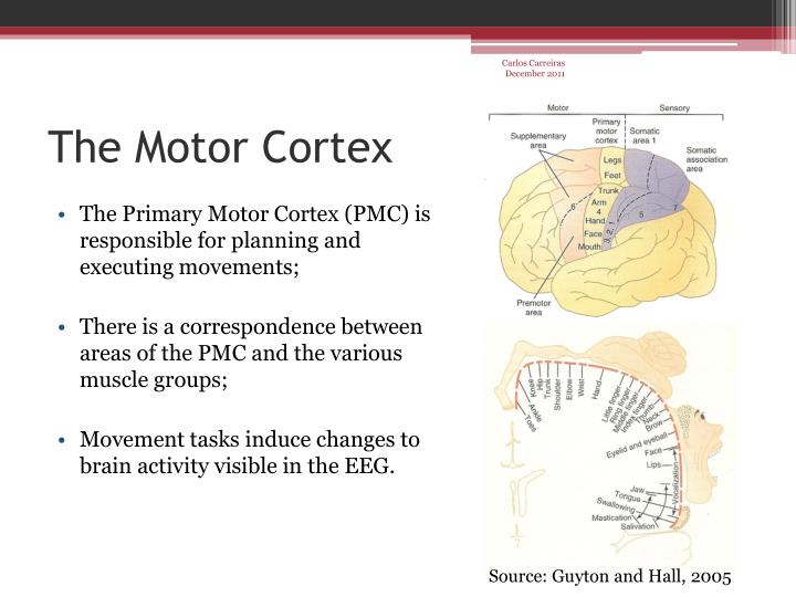 PPT - Brain-Computer Interface (BCI) in a Motor Imagery Paradigm ...