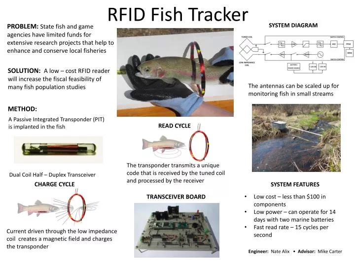 PPT - RFID Fish Tracker PowerPoint Presentation, free download - ID:2386728