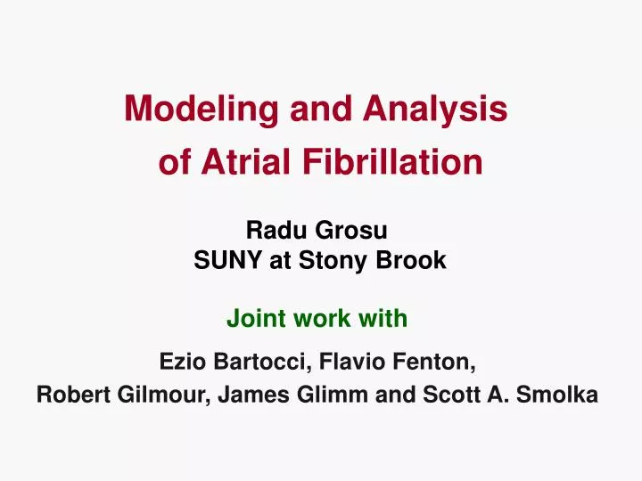 PPT - Radu Grosu SUNY at Stony Brook PowerPoint Presentation, free ...