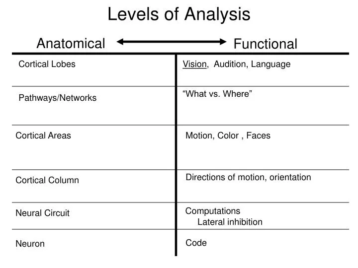 PPT - Levels of Analysis PowerPoint Presentation, free download - ID ...