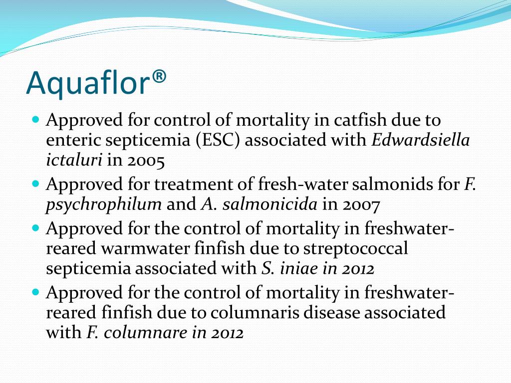PPT - Judicious Use of Florfenicol and other Antibiotics PowerPoint ...