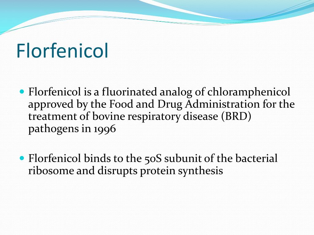 PPT - Judicious Use of Florfenicol and other Antibiotics PowerPoint ...
