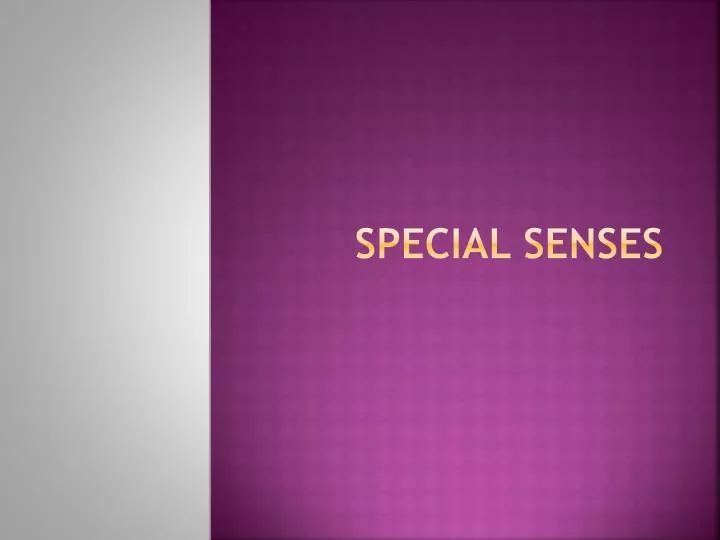 PPT - Special senses PowerPoint Presentation, free download - ID:2390518