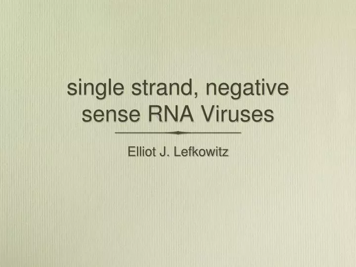 PPT - single strand, negative sense RNA Viruses PowerPoint Presentation ...