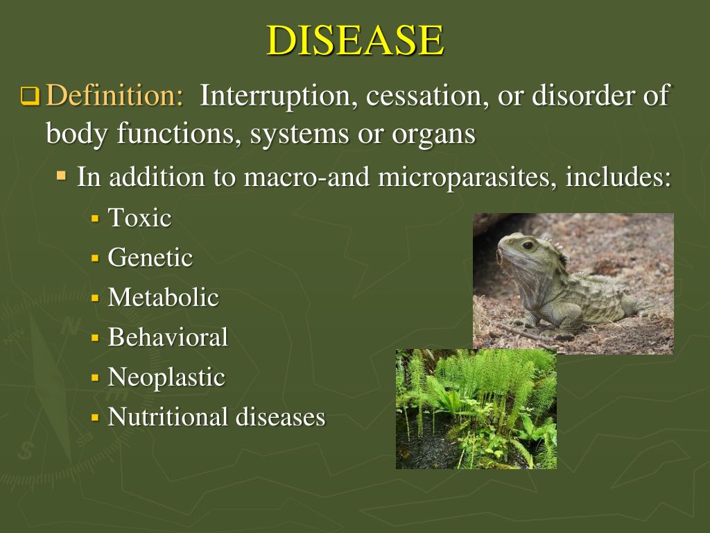 PPT - WILDLIFE HEALTH AND DISEASE: SURVEILLANCE, INVESTIGATION, AND ...