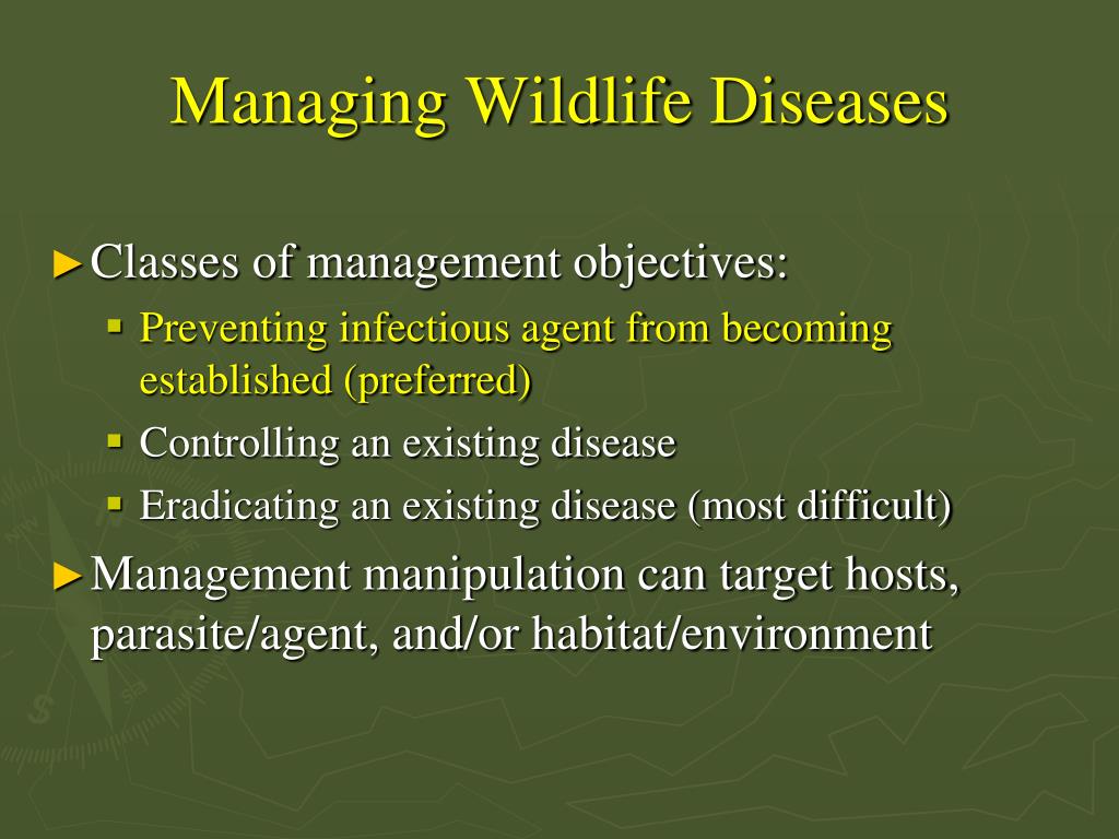 PPT - WILDLIFE HEALTH AND DISEASE: SURVEILLANCE, INVESTIGATION, AND ...