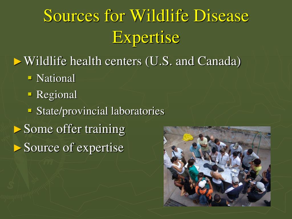 PPT - WILDLIFE HEALTH AND DISEASE: SURVEILLANCE, INVESTIGATION, AND ...