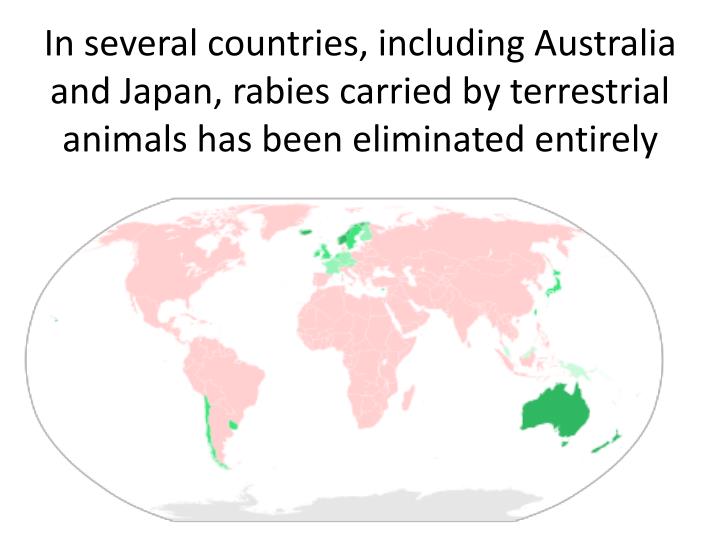 PPT - Rabies PowerPoint Presentation - ID:2391284