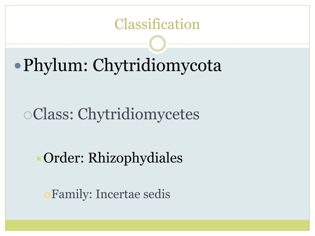 PPT - Batrachochytrium dendrobatidis Amphibian Chytrid Fungus ...