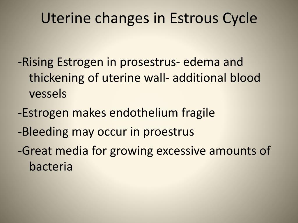 PPT - Female Reproductive System, Neonatology PowerPoint Presentation ...