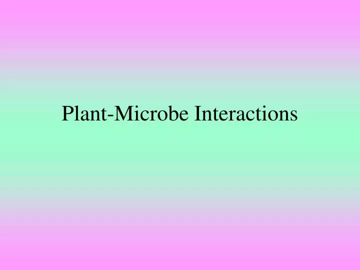 PPT - Plant-Microbe Interactions PowerPoint Presentation, free download - ID:2391866