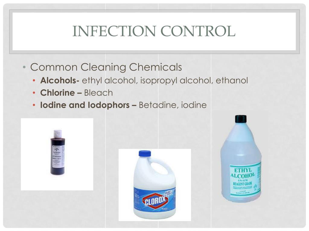 PPT - Safety and Sanitation in the Vet Clinic PowerPoint Presentation ...