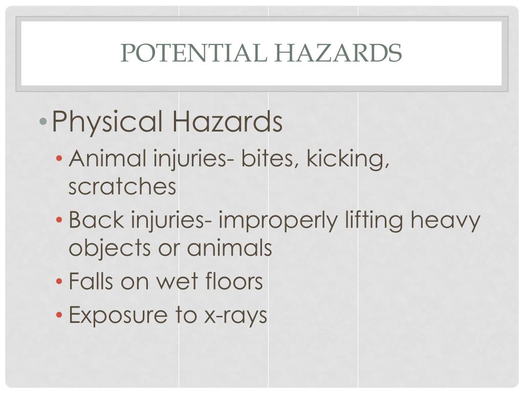 PPT - Safety and Sanitation in the Vet Clinic PowerPoint Presentation ...