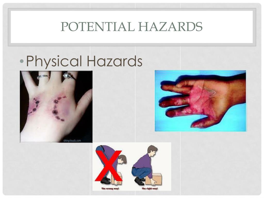 PPT - Safety and Sanitation in the Vet Clinic PowerPoint Presentation ...