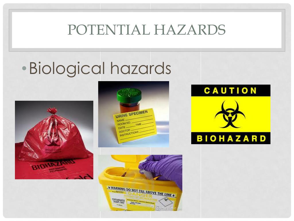 PPT - Safety and Sanitation in the Vet Clinic PowerPoint Presentation ...