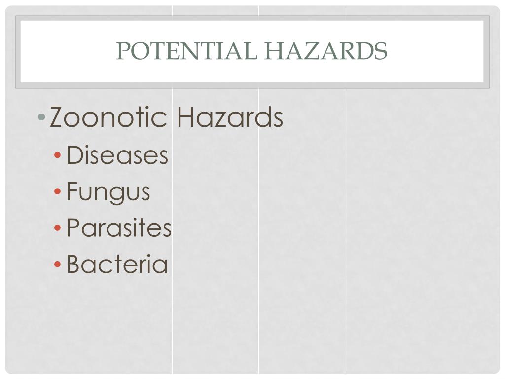 PPT - Safety and Sanitation in the Vet Clinic PowerPoint Presentation ...