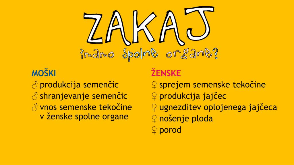 PPT - primarni spolni znaki so zunanji spolni organi , ki določajo spol ...