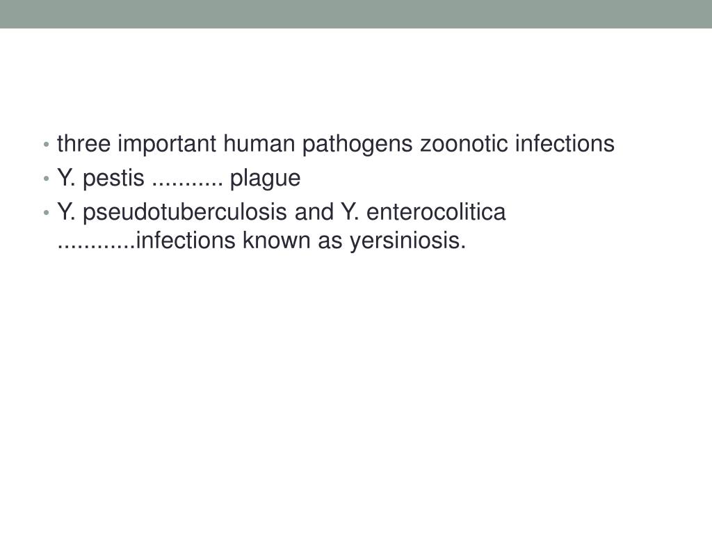PPT - Yersinia,FRANCISELLA,PASTEURELLA,VIBRIO, CAMPYLOBACTER PowerPoint ...