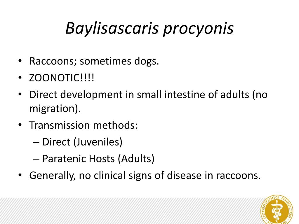 PPT - Joe Camp Professor of Veterinary Parasitology Purdue University ...